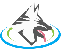 WatchDog Payment Fraud Detection and Prevention | Fluid Pay®